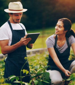 Versya - Data Driven Decision | SYS-DAT Group